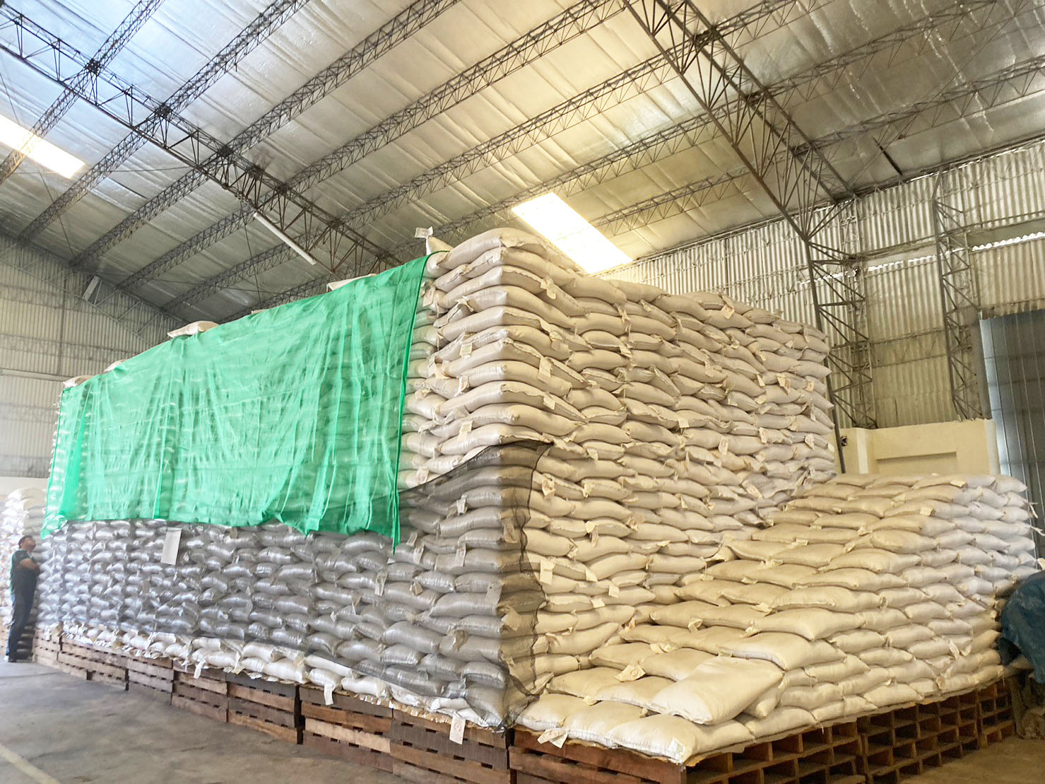 Inspect Japan’s Tier 3 Rice at the NFA-ACA warehouse in the Philippines ...
